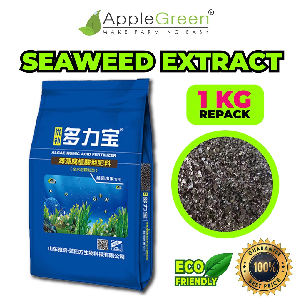 1 KG Seaweed Extract Fertilizer Powder Organic Fertilizer Alga Foliar ...
