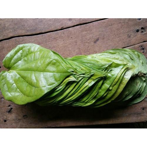 VETRILAI VETALAI BETEL LEAVES DAUN SIREH ORIGINAL FRESH 100 LEAVES ...
