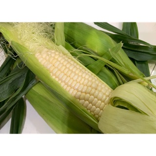 500g Cherry Tomatoes Cameron Highlands/ 500g Ceri Tomato Ceri 金马伦樱桃小番茄 ...