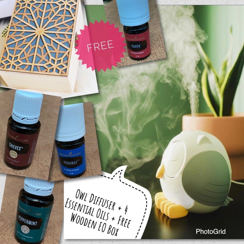 Ready Stock Feather The Owl Ultrasonic Diffuser With 4 Essential Oils ...