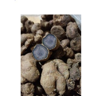 100 BIJI KUNYIT HITAM, KAPSUL KUNYIT HITAM MURAH, BLACK GINGER , RIZOM ...