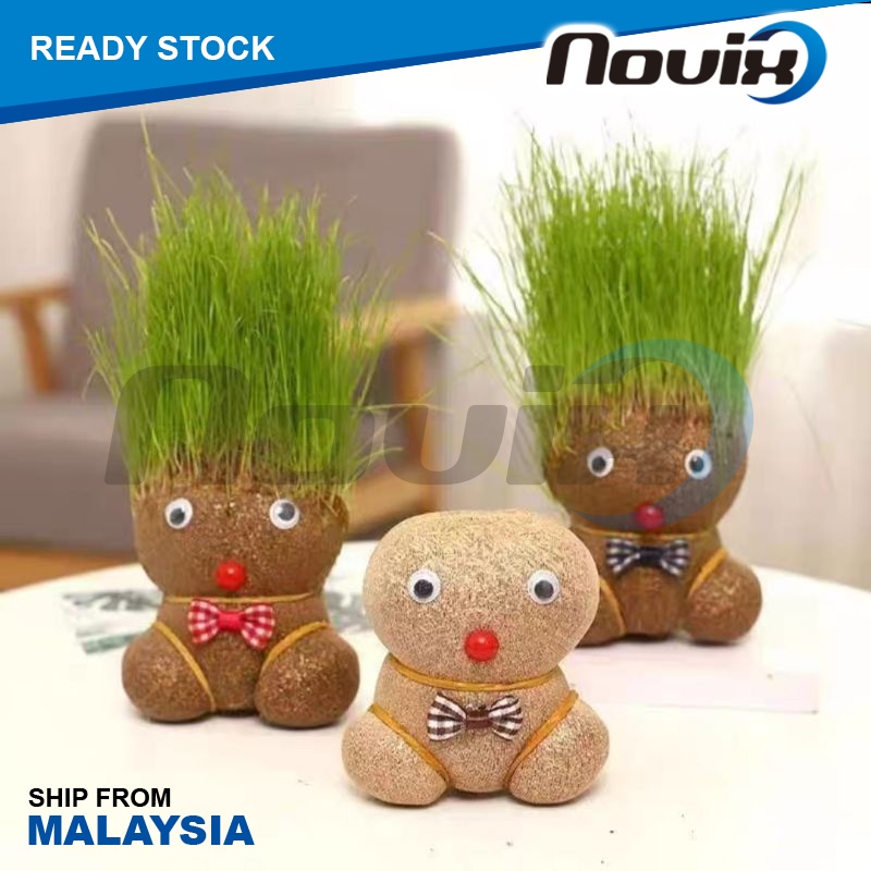Craft Growing Grass Head Toy Planting for Children/Home/Office | Shopee ...