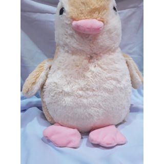kaison - Prices and Promotions - Mar 2020 | Shopee Malaysia