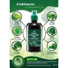 Cosway Nn Liquid Chlorophyll Plus 500ml | Shopee Malaysia