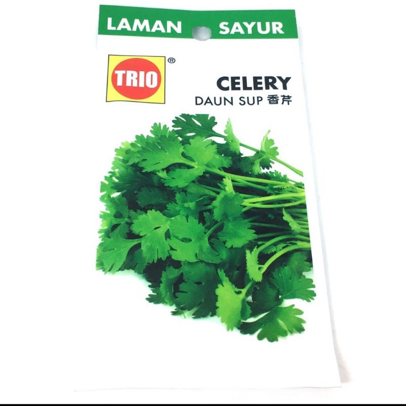 BIJI BENIH DAUN SUP / CELERY SEEDS / BIJI DAUN SUP/ BENIH DAUN SUP ...