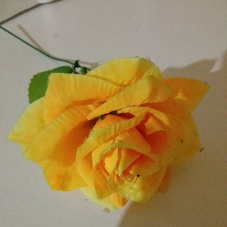 5 kuntum bunga Ros (Sejambak) | Shopee Malaysia