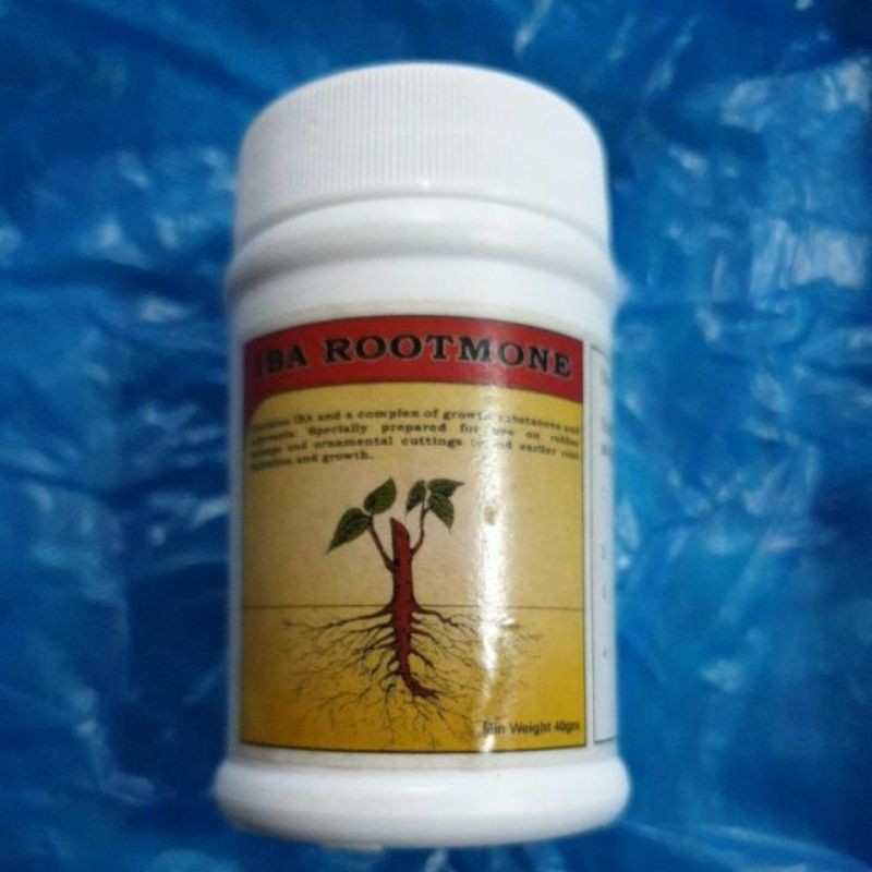 SERBUK PENGGALAK AKAR @ IBA ROOTMONE (ROOTING)-(40g) | Shopee Malaysia