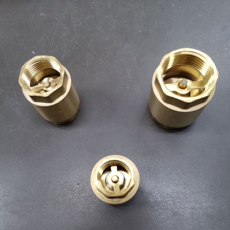 VIP Brass Spring Check Valve / One Way Valve / Non-Return Valve ...