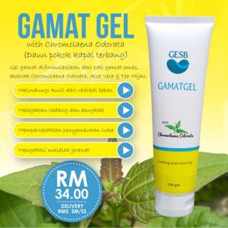 Original Gamat Gel GESB Gamat Emas Anti Parut Aloe Vera Green Tea ...