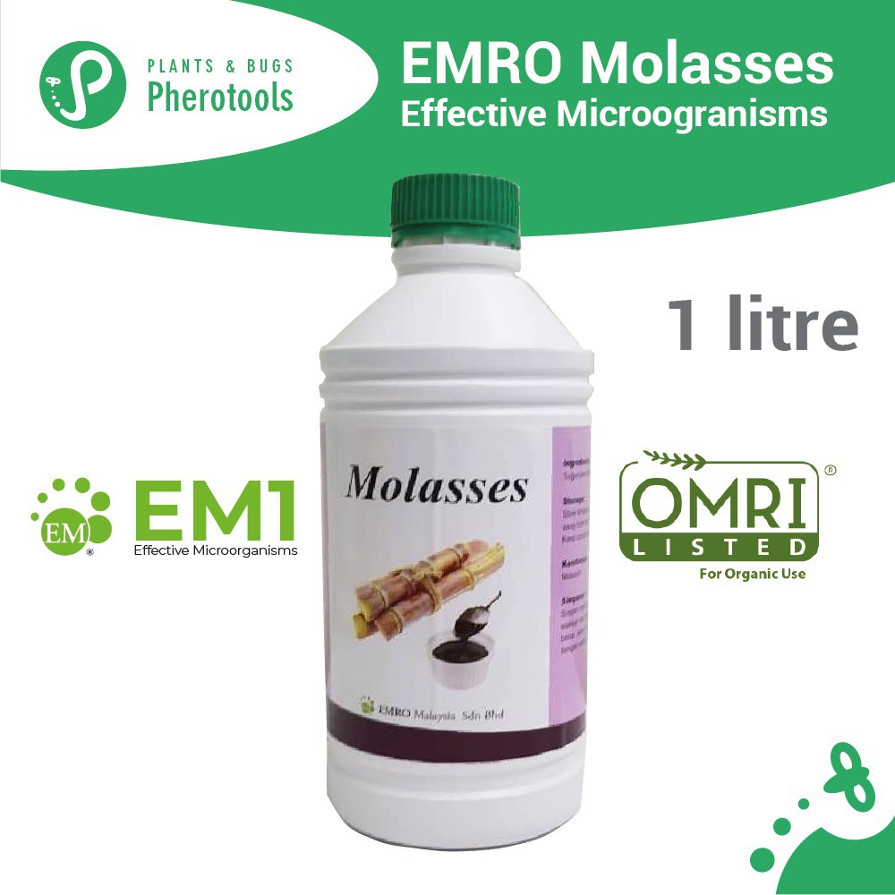 Pherotools 1L Molasses (EMRO Original Sugar Cane Molasses) Making ...
