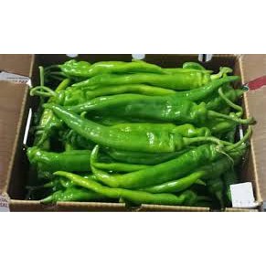 Cili Hijau Besar / lada Hijau Besar / Lada solok | Shopee Malaysia