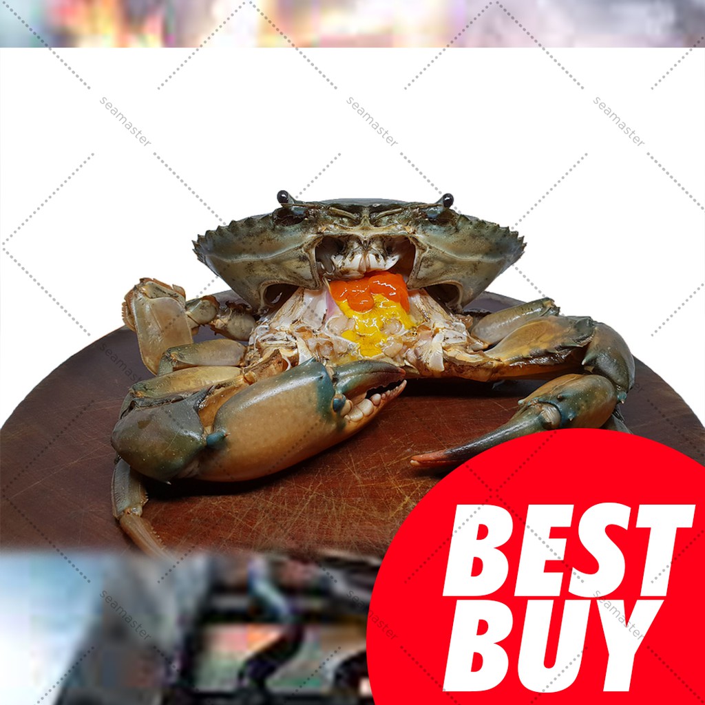 Female Mud Crab / Ketam Betina (1kg) | Shopee Malaysia