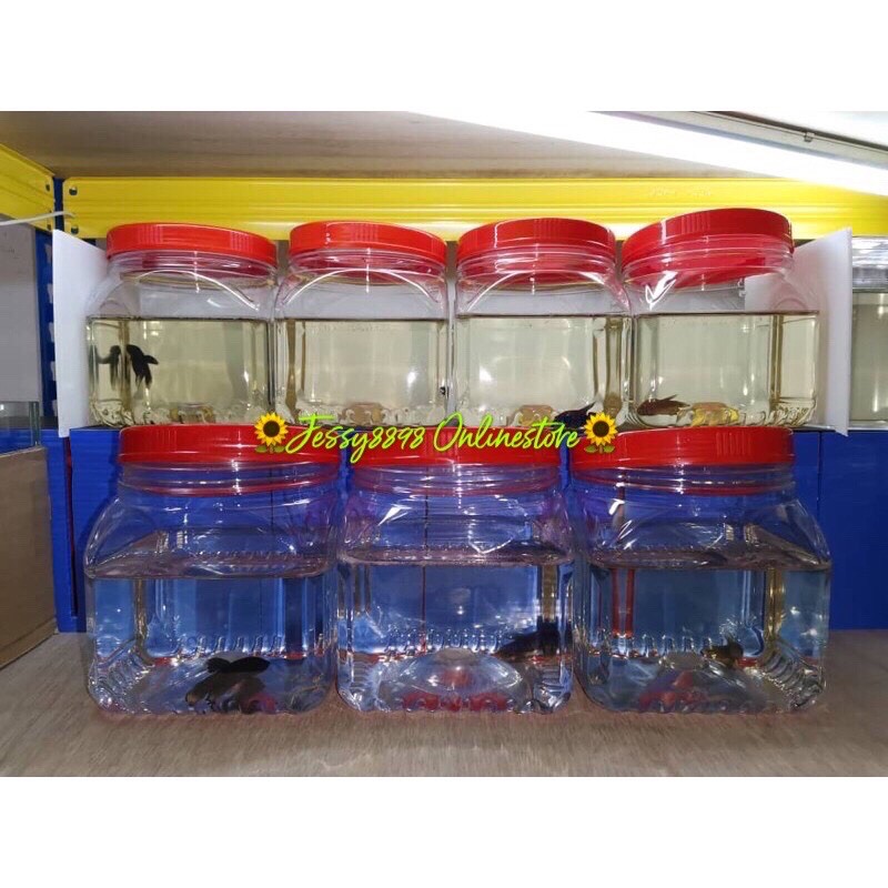 ??Ready Stock??Competition SU TANK 1.5L Bekas Plastik for Betta / Guppy ...