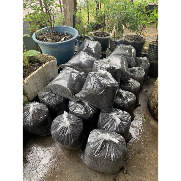 Tanaman Campuran - Perumperindo.co.id