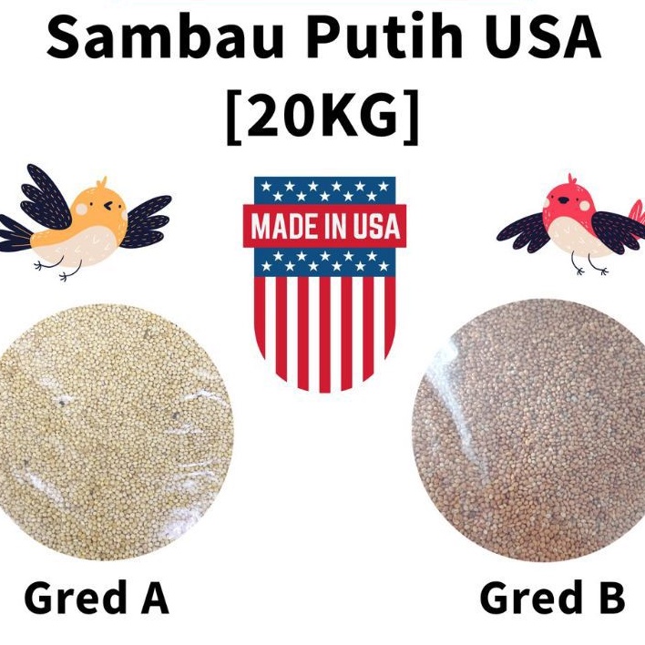 20 kG sambau putih/gredA/gredB//sekoi/kamu/white millet untuk burung ...