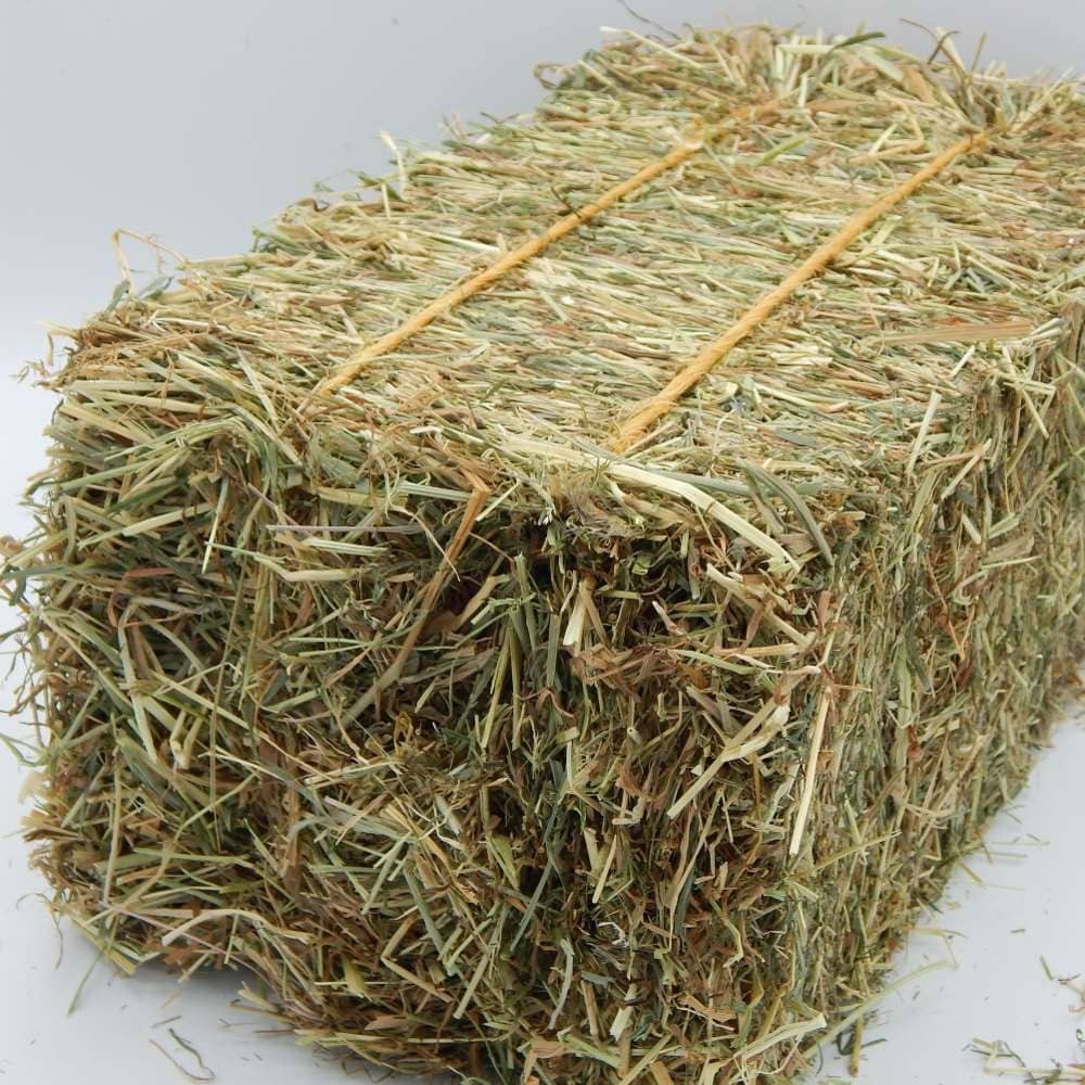 [REPACK 5KG] ALFALFA HAY / TIMOTHY HAY / RUMPUT ALFALFA/TIMOTHY ARNAB ...