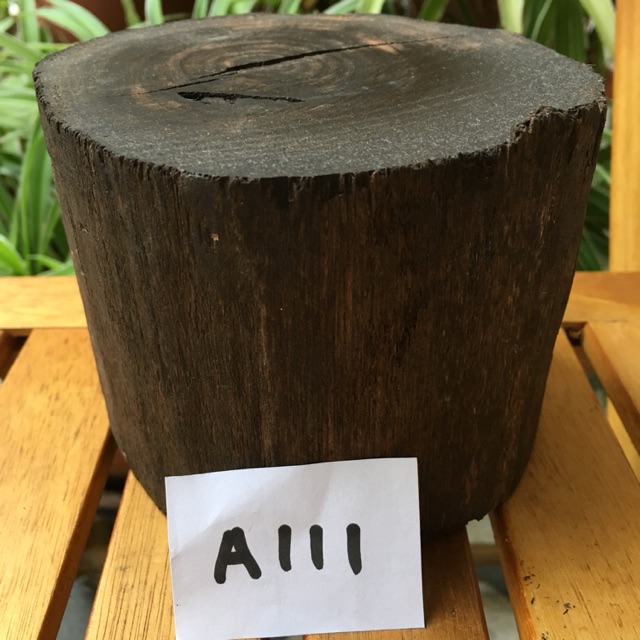 Teras Kayu Penawar Hitam Asli Malaysia (Ready Stock) | Shopee Malaysia
