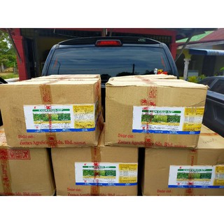 racun rumpai control up 4liter (rumput kerbau, lalang, rumput pait ...