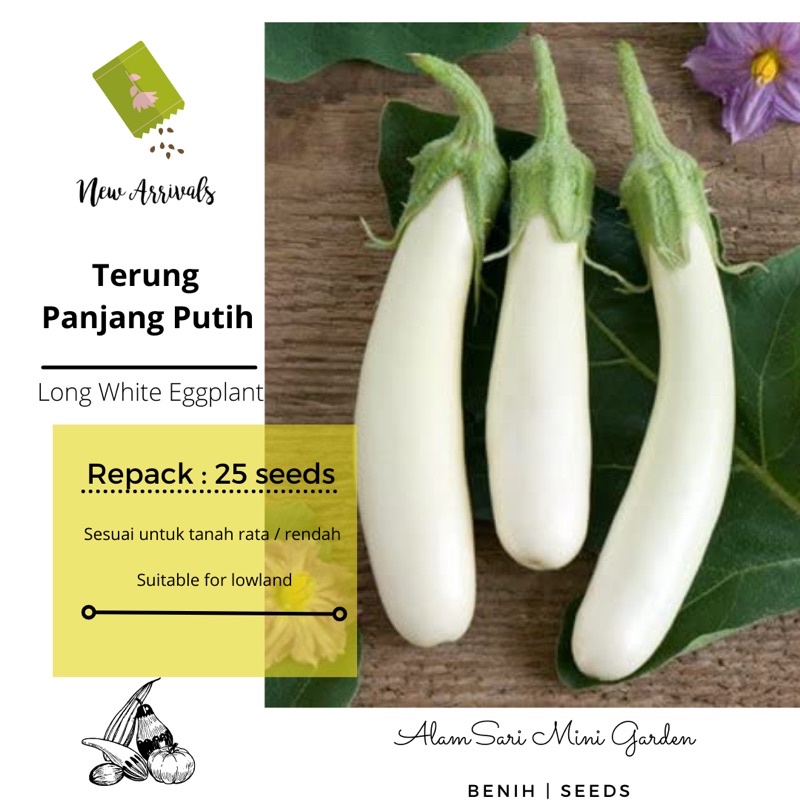 Biji Benih Terung Panjang Putih : Terung Panjang Putih ( White Long ...