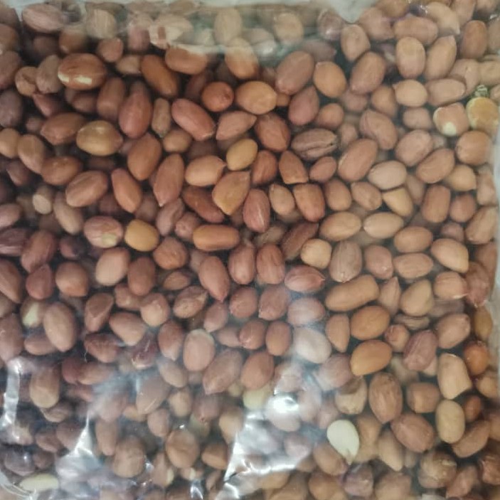 Groundnut Kernel (India) 500G | Shopee Malaysia