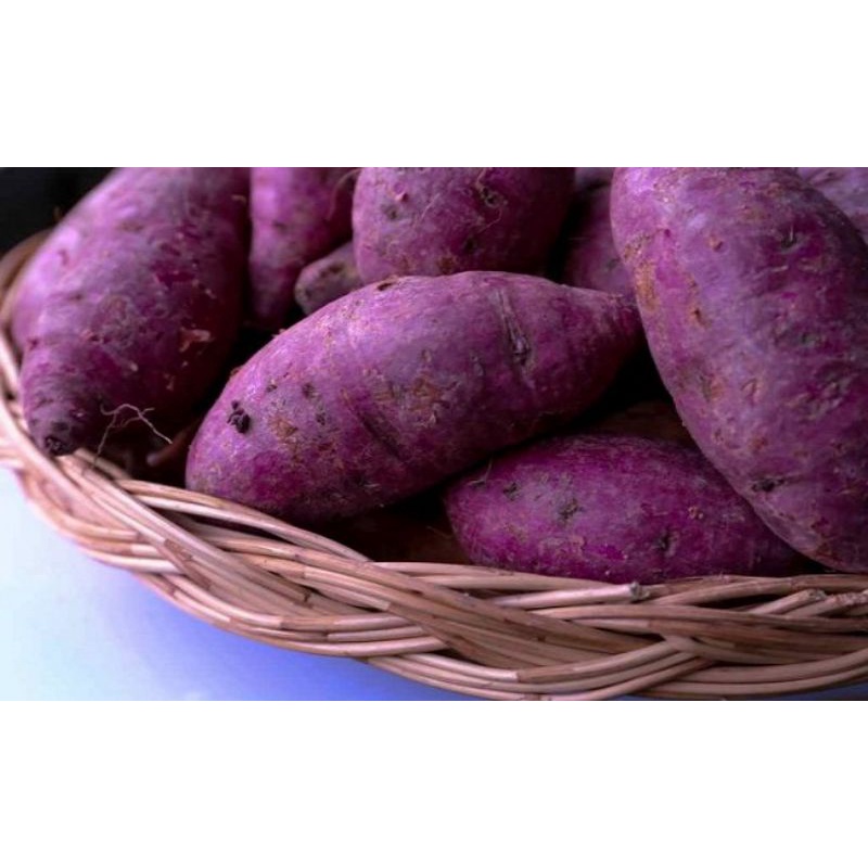 Ubi Keledek KUNING & UNGU 1kg | Shopee Malaysia