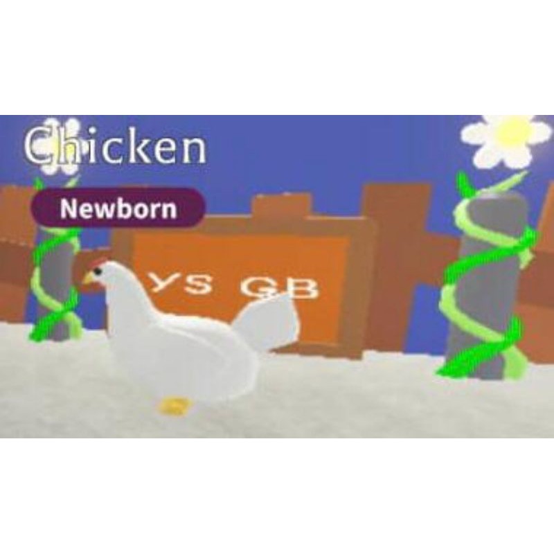 CHICKEN Common Pet Adopt Me Roblox (FR/NFR) | Shopee Malaysia