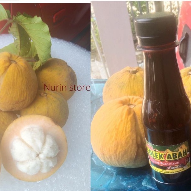 BUAH STOL BUAH SETOL BUAH SETOI BUAH SENTUL 1KILO/BUAH SETOI JERUK ...