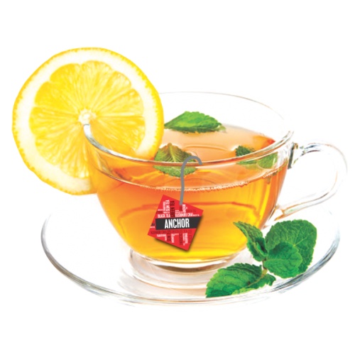 Premium Green Tea Imported (25 T-Bags) | Shopee Malaysia