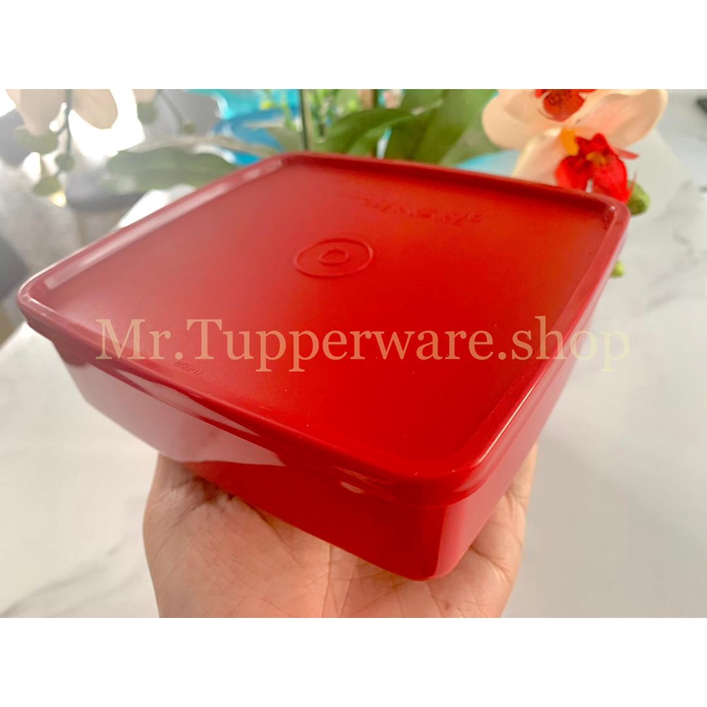 Tupperware Large Square Maroon 620ml | Shopee Malaysia