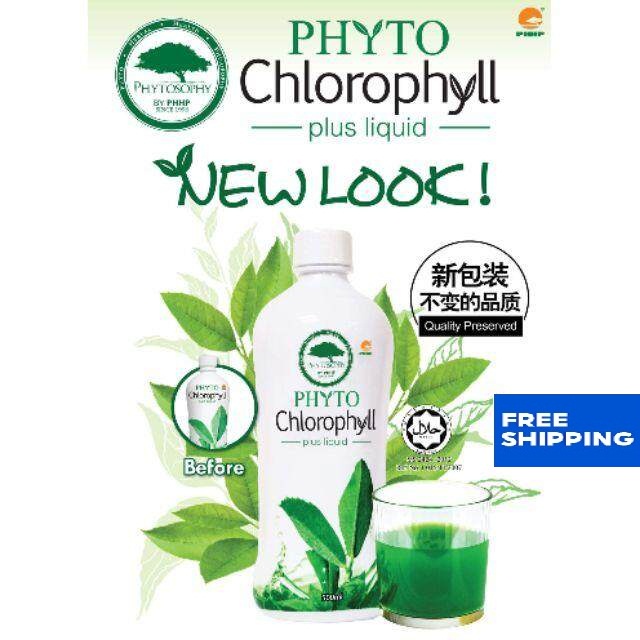 (NEW STOCK) PHHP PHYTO CHLOROPHYLL ONE BOTTLE 500ML | Shopee Malaysia