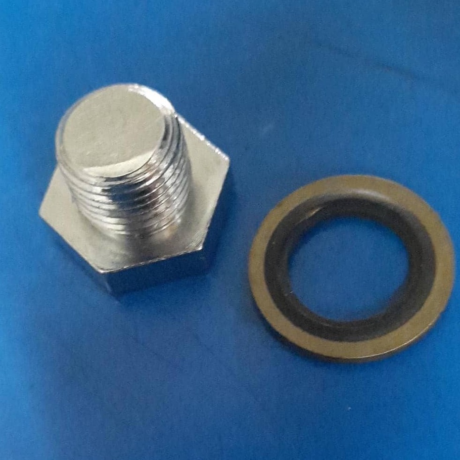MLE XTM 200 - Plug ( Nut) + Washer - Left engine Case ( Kiri Case ...