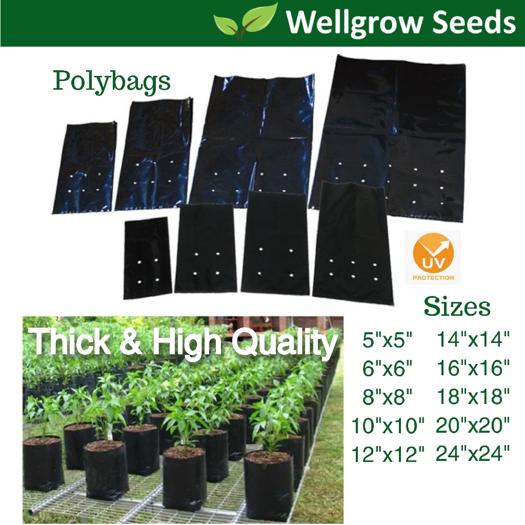 Polybag Polibeg Hitam/ Putih 1KG (Nursery Growing Bag Thick UV ...