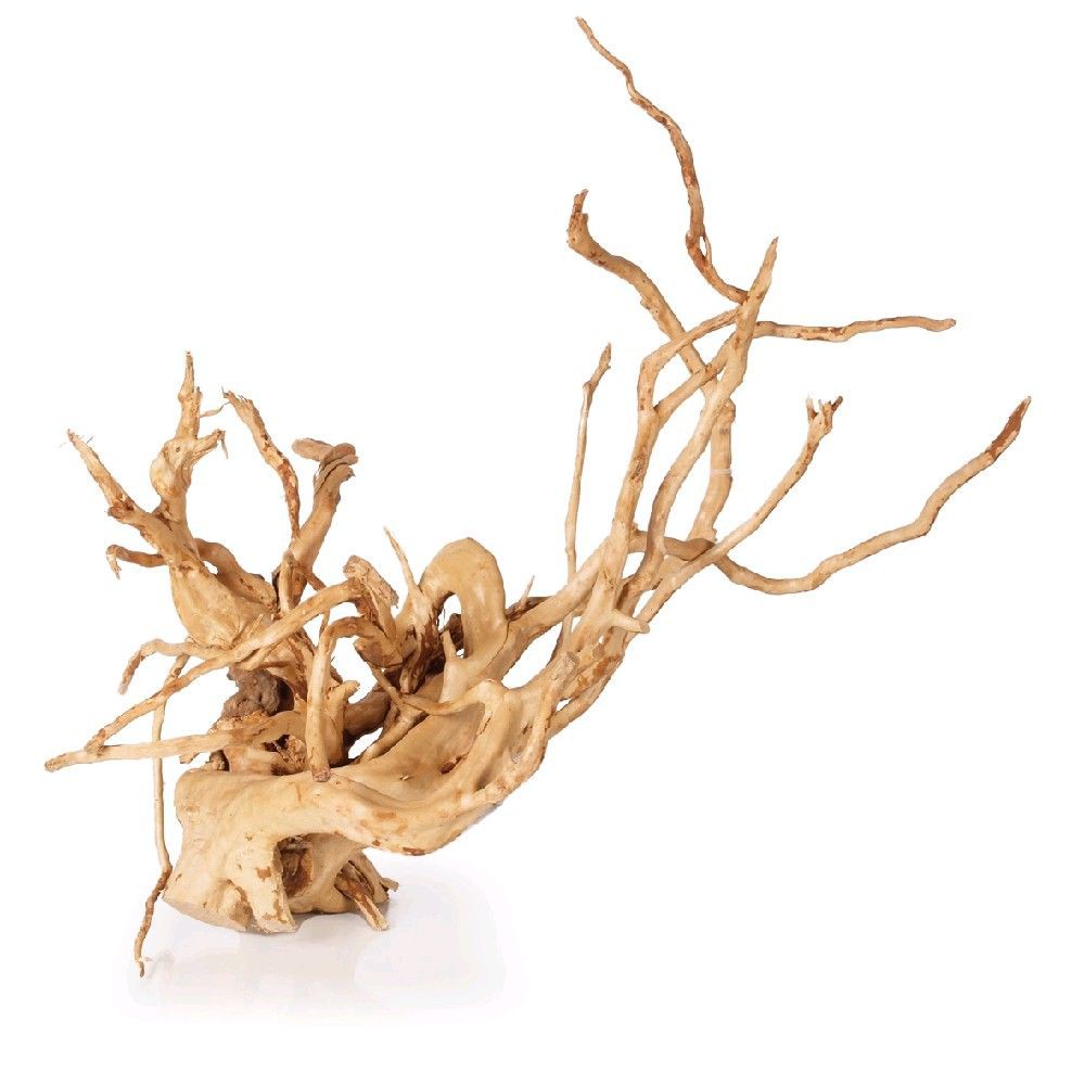 Root Wood Driftwood Spiderwood aquarium aquascape aquascaping deco 杜鹃根 ...