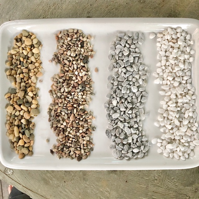 Pebble Wash Stone GARDEN GARDENING DECORATIONS PEBBLE STONE Ready Stock ...