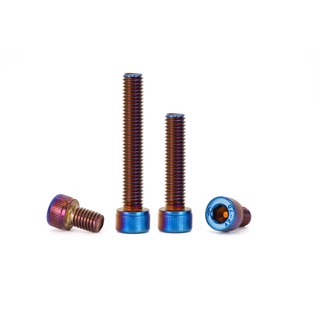 304 Stainless Steel Burnt Blue Cylinder Head Socket Head Cap Screw ...