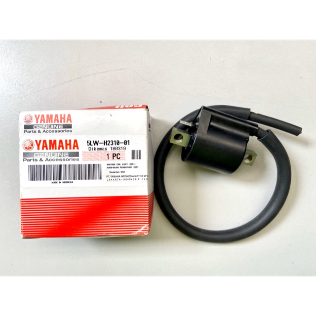 LC135/ Y125Z/ SRL110/Lagenda 115/ Y100/Y110/Nouvo/Ego/ Egos Plug Coil ...