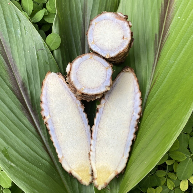 Temu Hitam @ Temu Ireng(Curcuma aeruginosa) Rizom 100gm | Shopee Malaysia