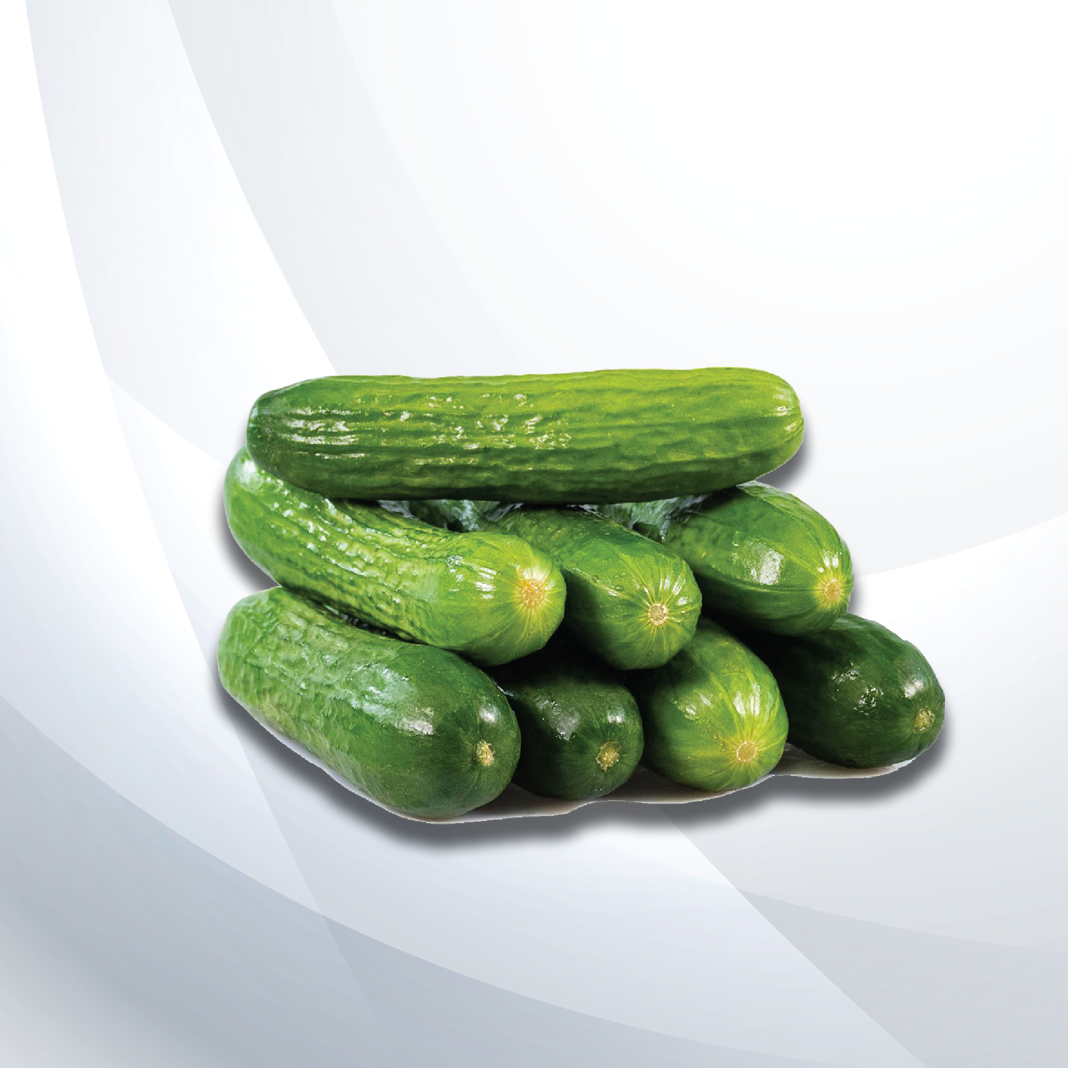 Mini Cucumber +/-500g | Shopee Malaysia
