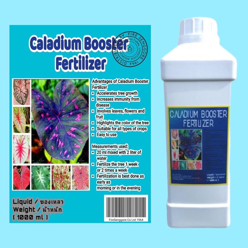 [1 liter] Keladi Booster/Fertilizer/Baja Keladi/caladium/Baja daun/Baja ...