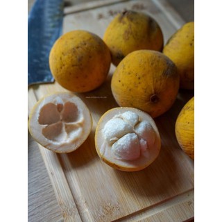 fruit - Prices and Promotions - Jul 2022 | Shopee Malaysia