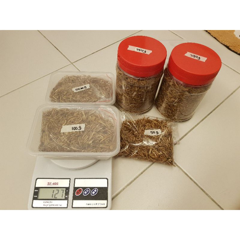 dry worm for small pet ready stock | Shopee Malaysia