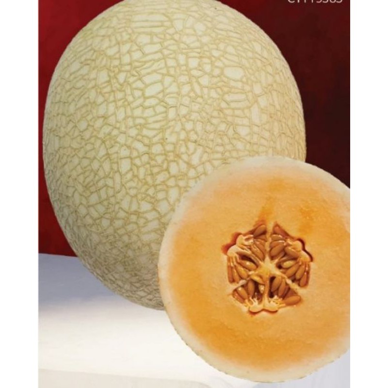 5 BIJI BENIH HIBRID F1 MELON MILK KIRIN(Repack) | Shopee Malaysia