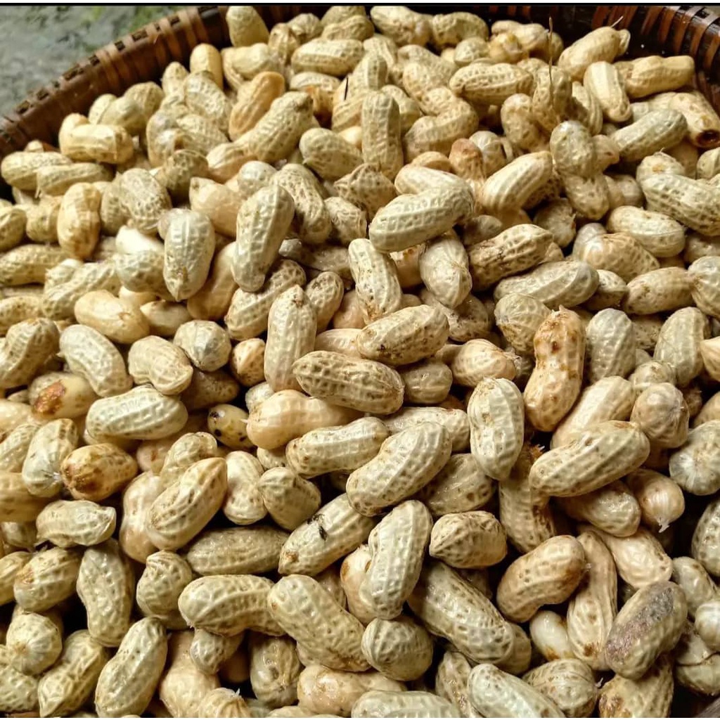 Kacang Tanah Mentah / Kacang Rebus 1kg | Shopee Malaysia