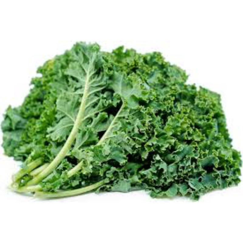 Fresh Organic Kale Leaf ( 1 kg ) ( 2 kg) ( 5kg ) | Shopee Malaysia