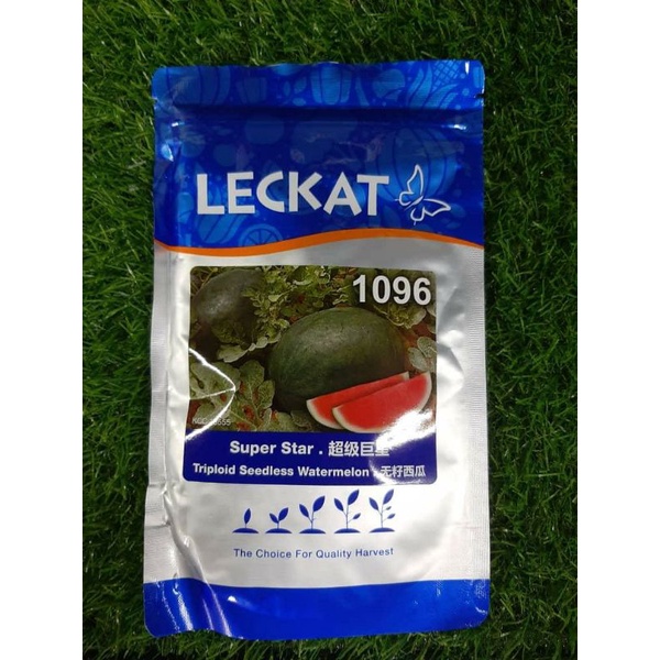 Benih Tembikai Merah Tanpa Biji SUPER STAR Leckat 1096 20gram/100gram | Shopee Malaysia