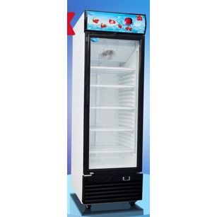 SNOW DISPLAY CHILLER 350L (PM FOR COD OR DELIVERY) | Shopee Malaysia
