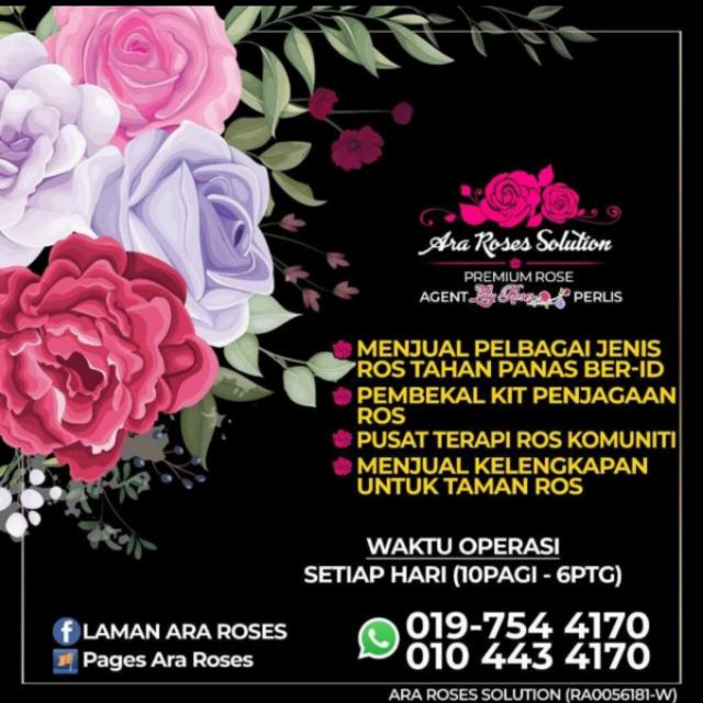 araroses, Online Shop | Shopee Malaysia