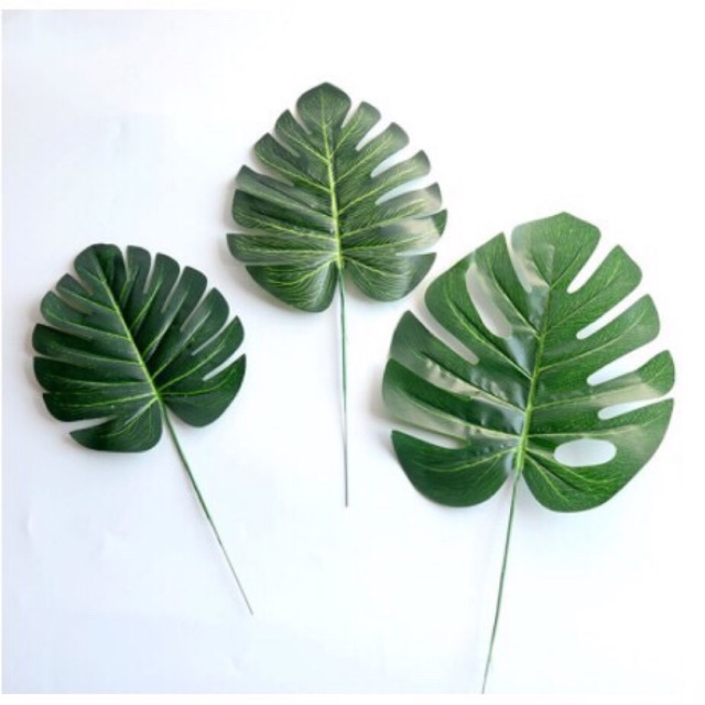 Monstera Leaf / Daun Monstera 3 pcs | Shopee Malaysia
