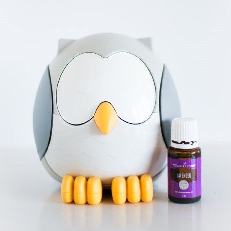 Young Living Feather The Owl Diffuser + Free Lavender 5ml EO (Ready ...