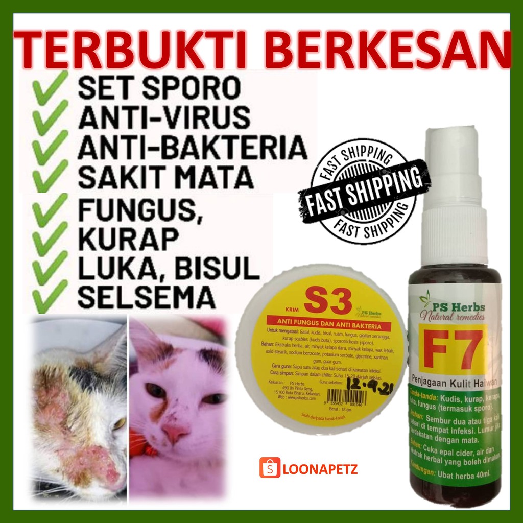 Set ubat sporo kurap scabies fungus kerapu luka kudis ruam selsema ...